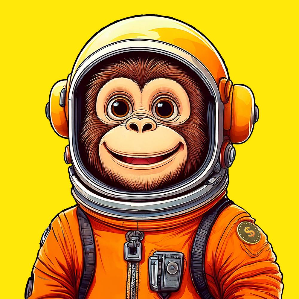 Monkey Moon - Analytix Audit